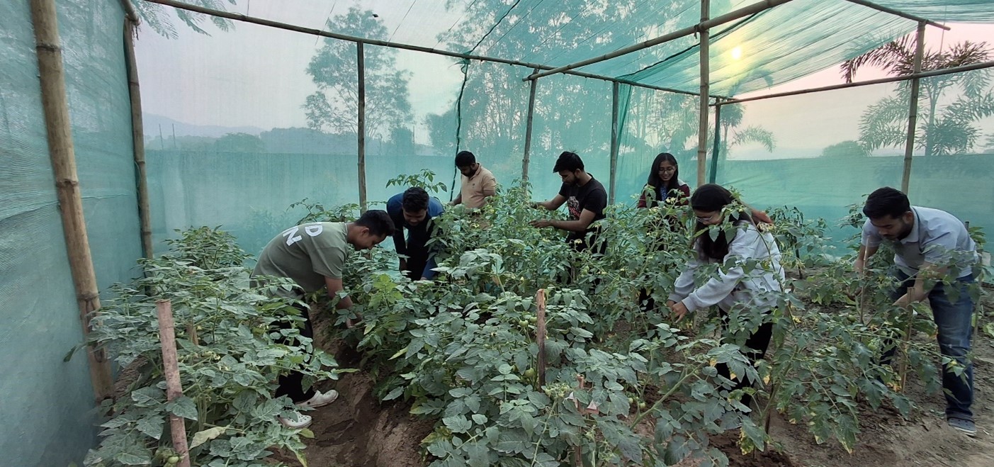 Learning Beyond Classrooms: Exposure Visits for Practical Agricultural ...